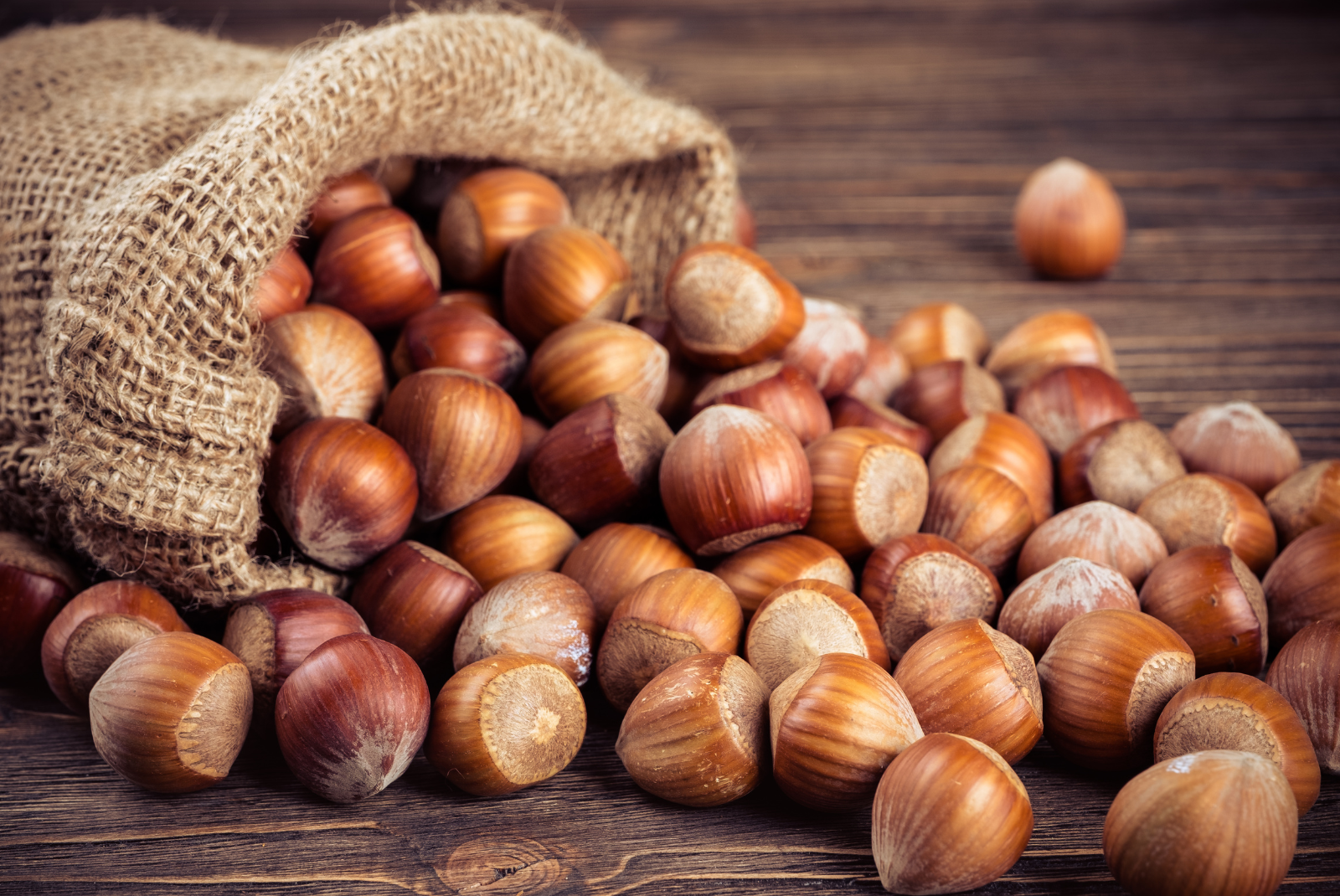 Exploring the Irresistible Delights of Hazelnut Butter – Dastony