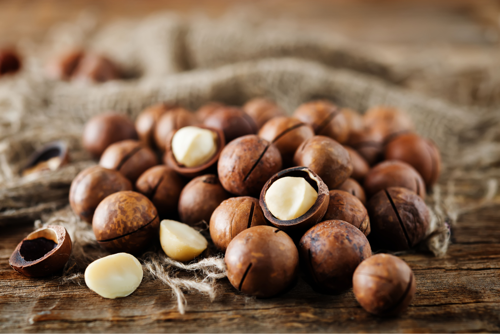 The Marvelous Macadamia Nut: Nature's Creamy Delight – Dastony